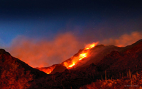 Warren Faidley — Extreme Earth Sciences Journalist and Photojournalist ...